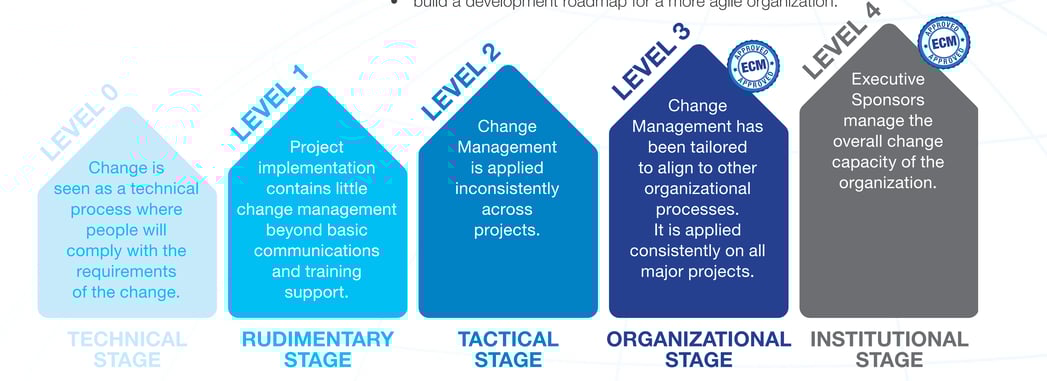 Enterprise Change Management: Assessing change maturity
