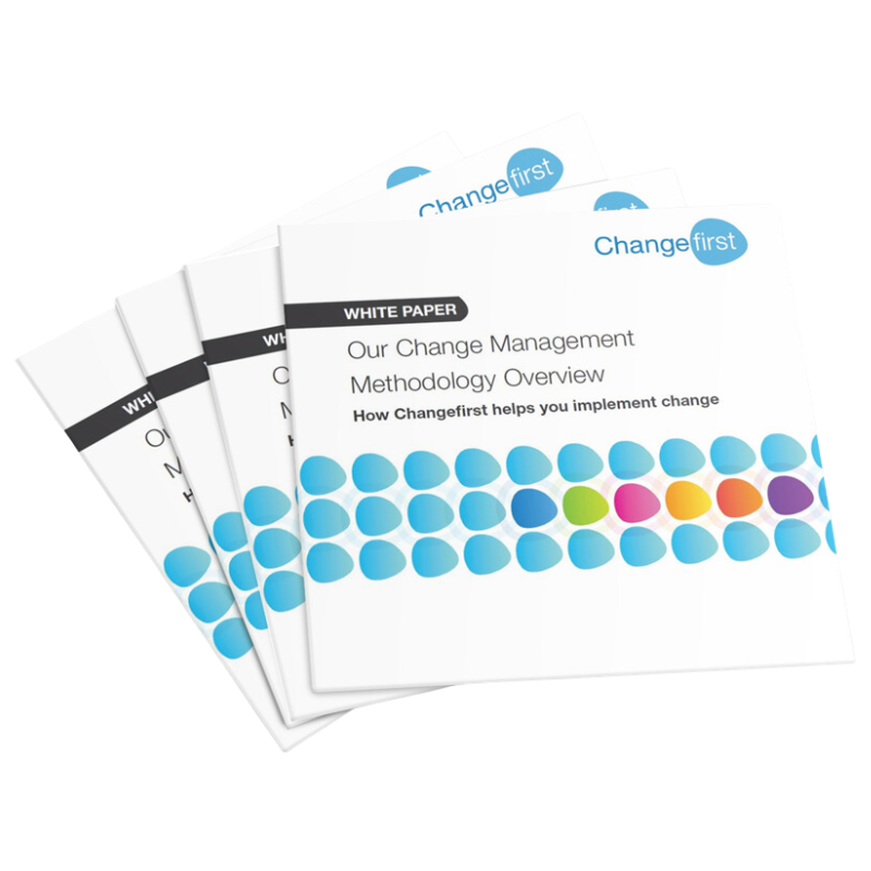 How to define a clear Change Vision during organisational Change